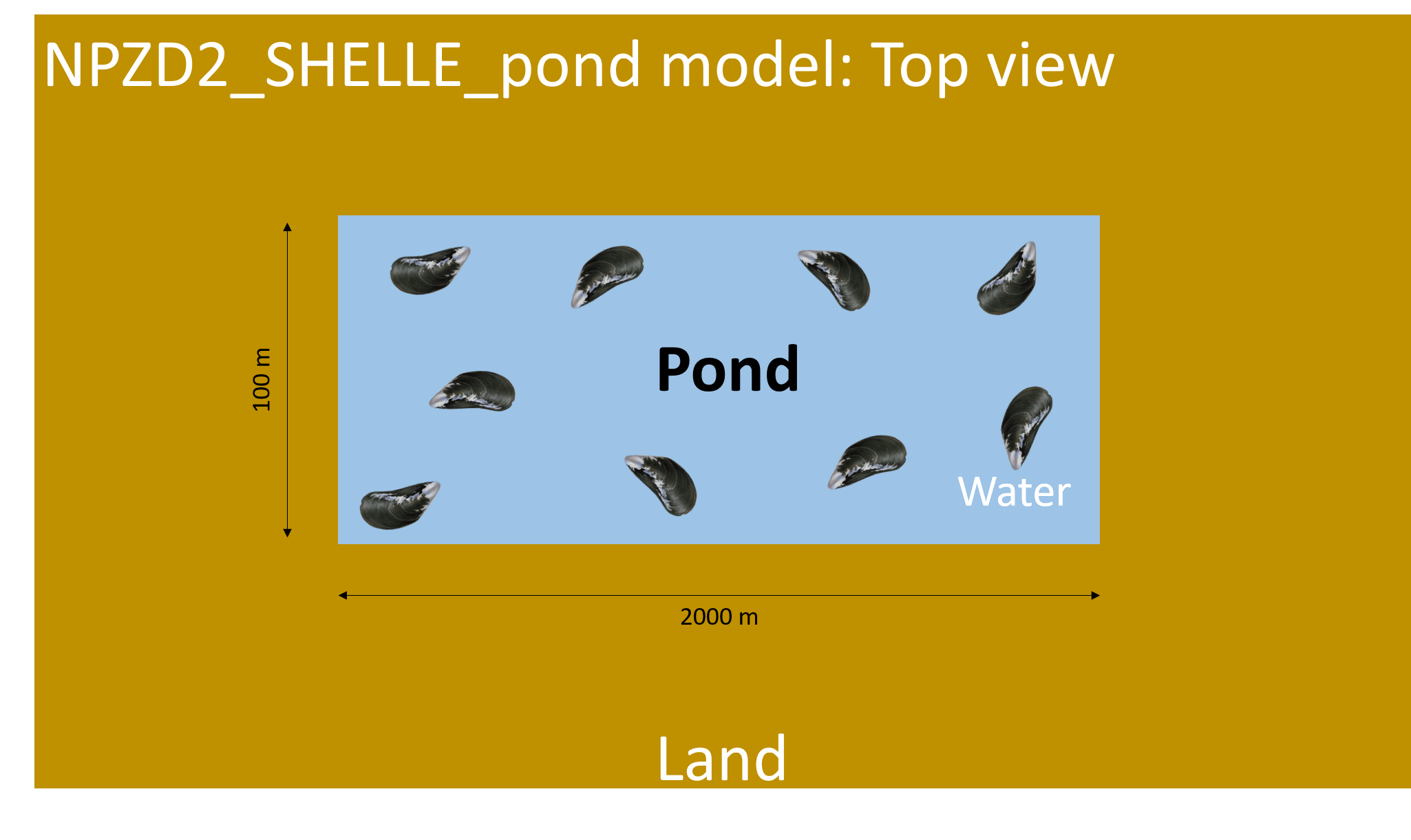 LAB 6 - SHELL-E NPZD2 Pond with Oxygen